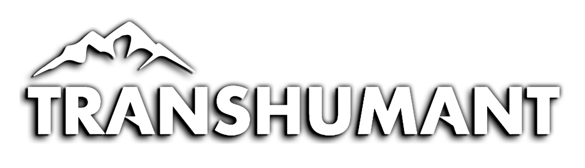 Termeni si conditii – Transhumant
